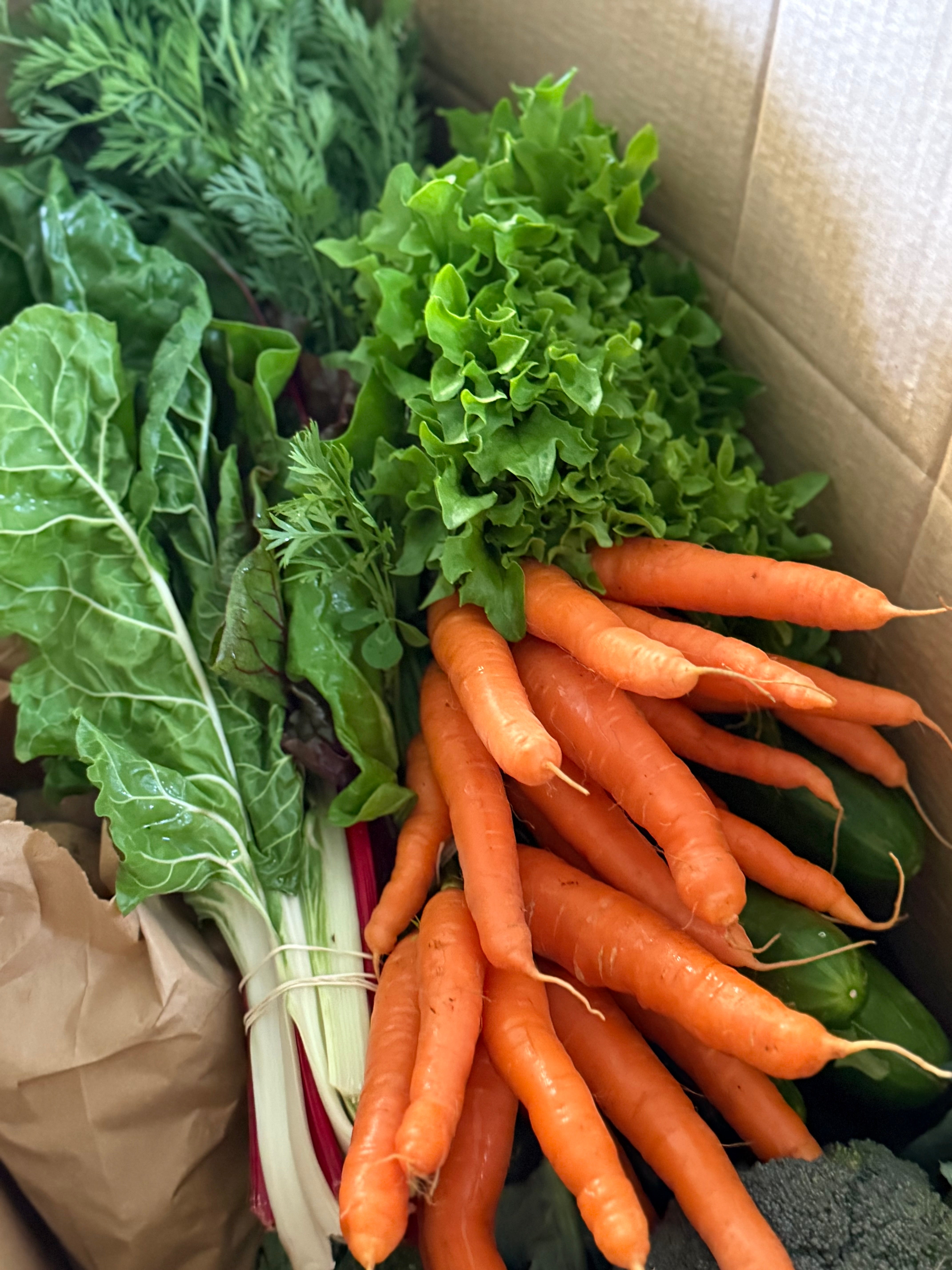 What’s in the 26th March boxes? – Little Farms NZ