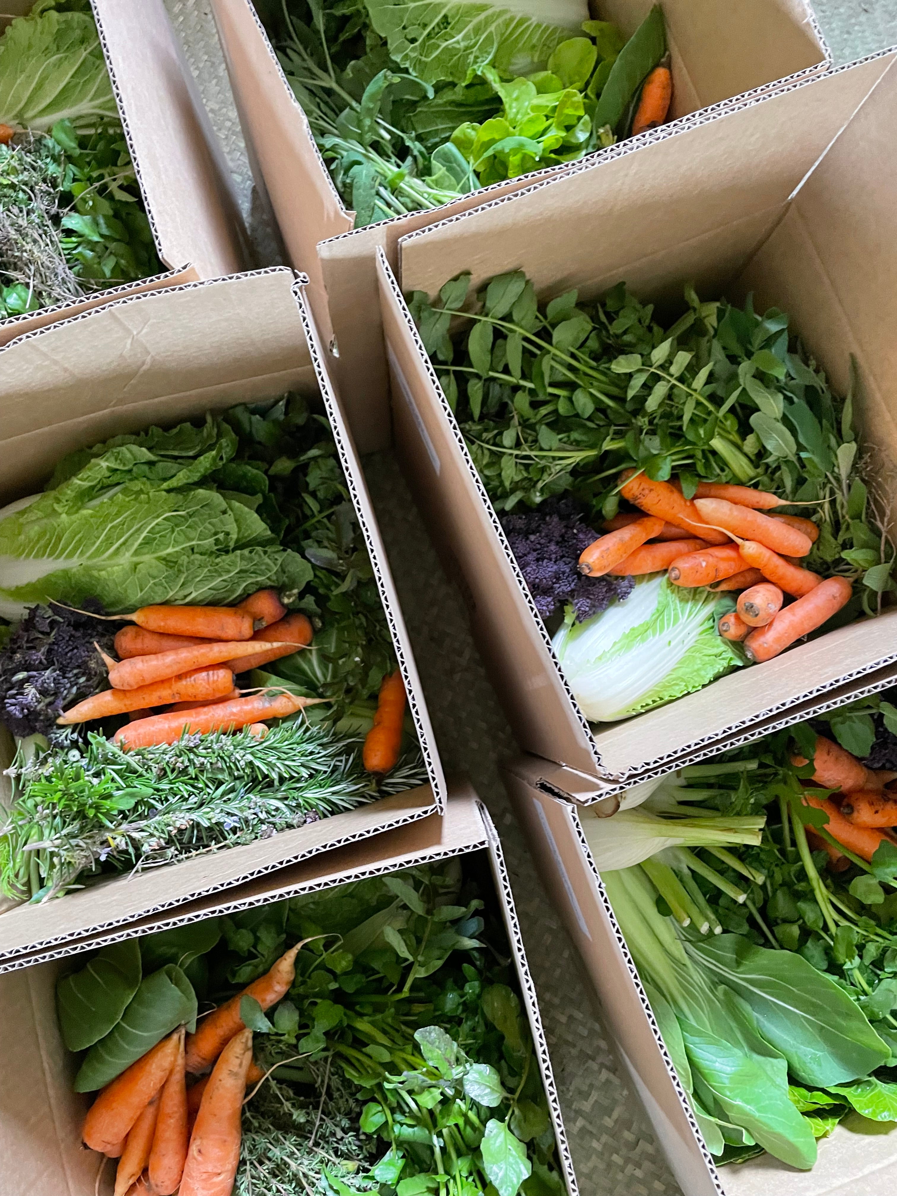 What’s in the 26th June boxes? – Little Farms NZ