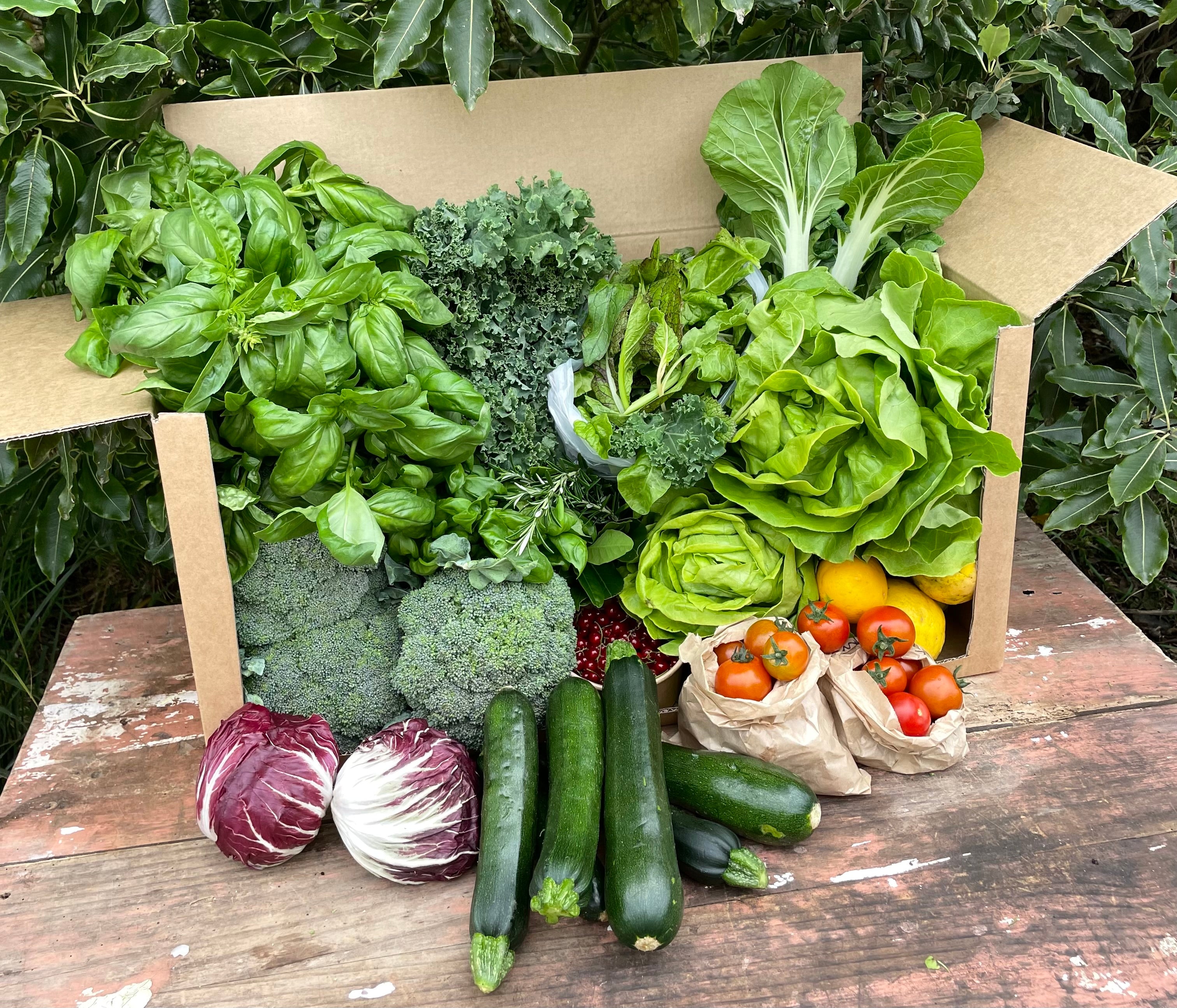 What's in the 4th Jan boxes? – Little Farms NZ