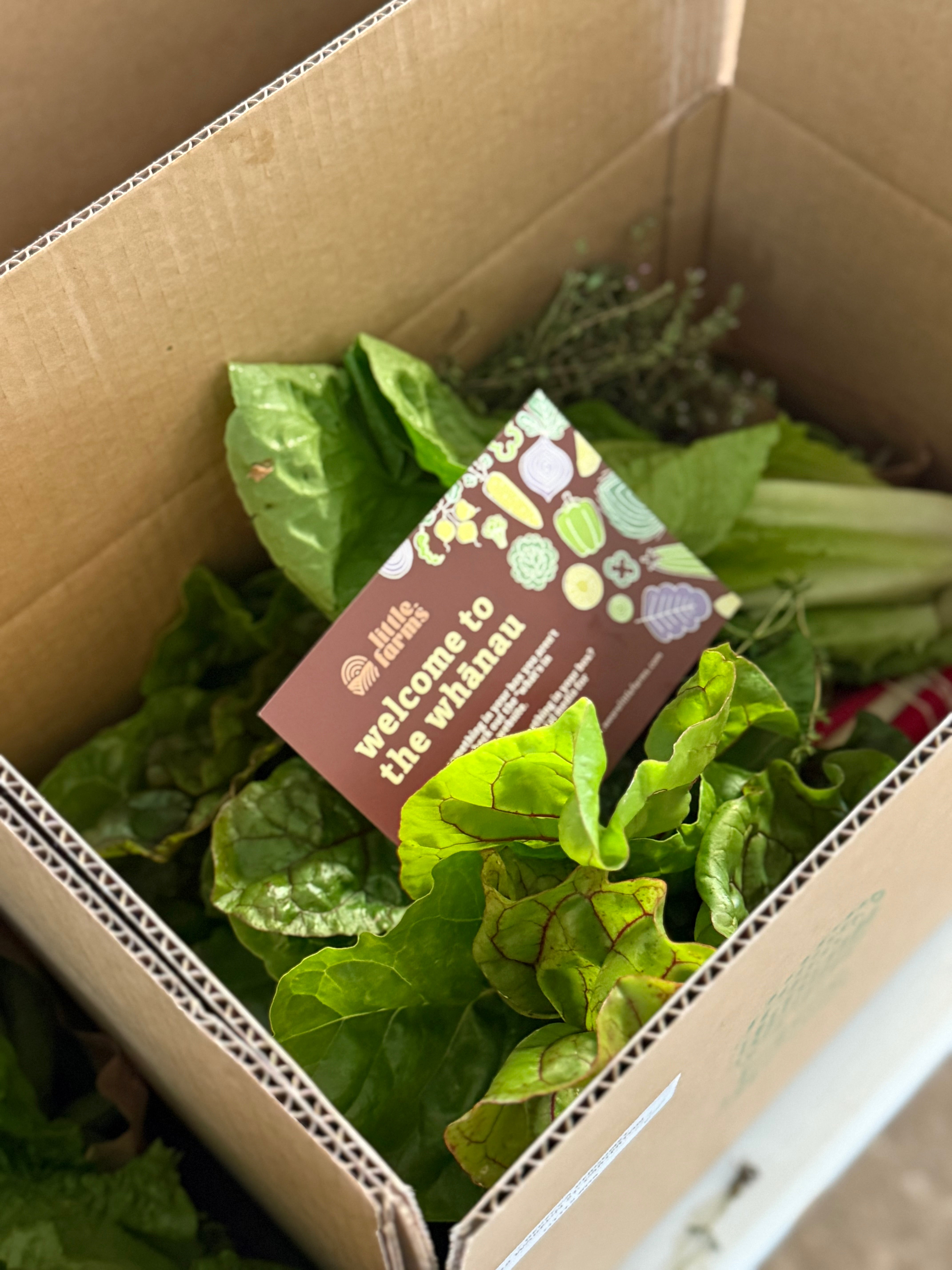 What’s in the 29th Jan boxes? – Little Farms NZ