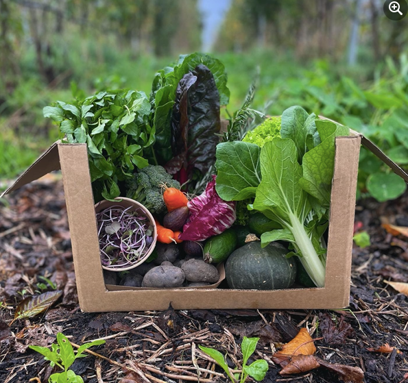 What’s in the 14th March boxes? – Little Farms NZ