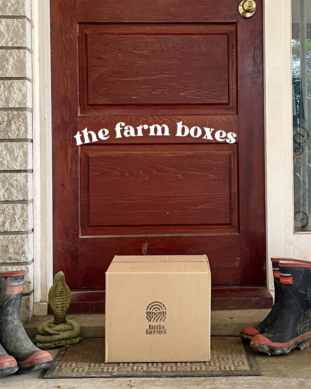 Wairarapa Grown Organic Farm Boxes delivered to your door – Little Farms NZ