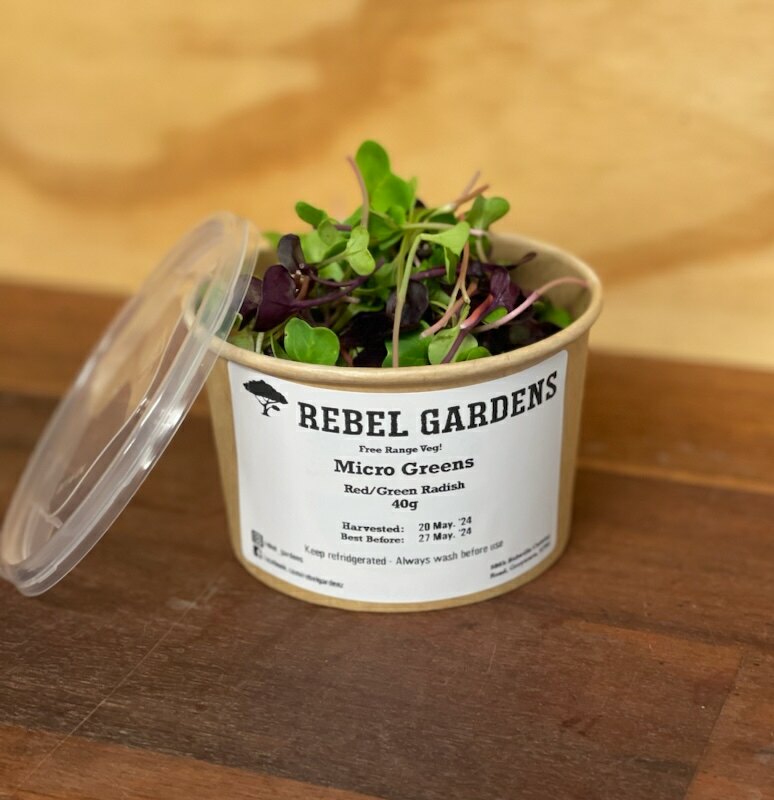 Rebel Gardens Microgreen Mix – Little Farms NZ