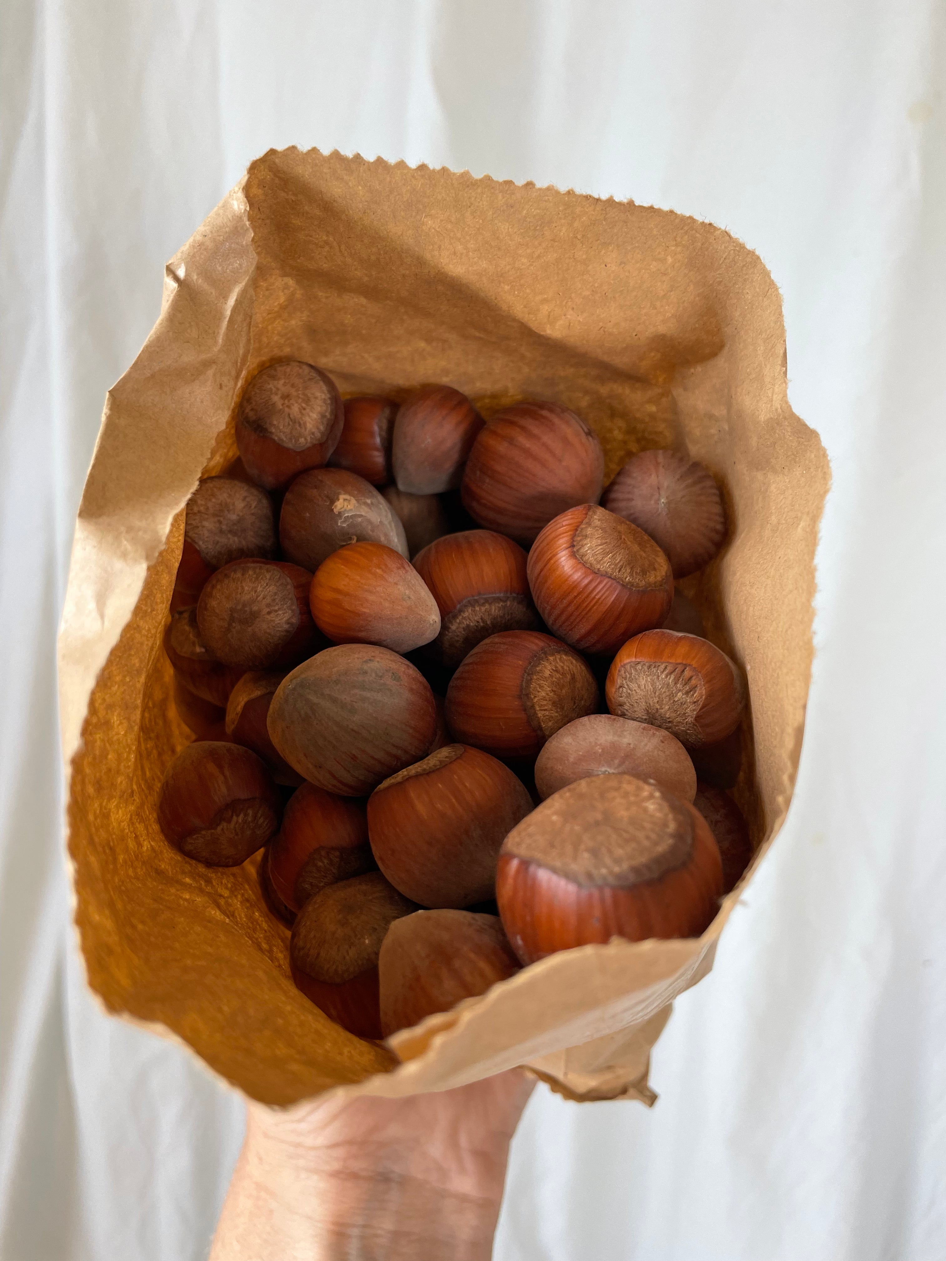 Spray free Hazelnuts – Little Farms NZ