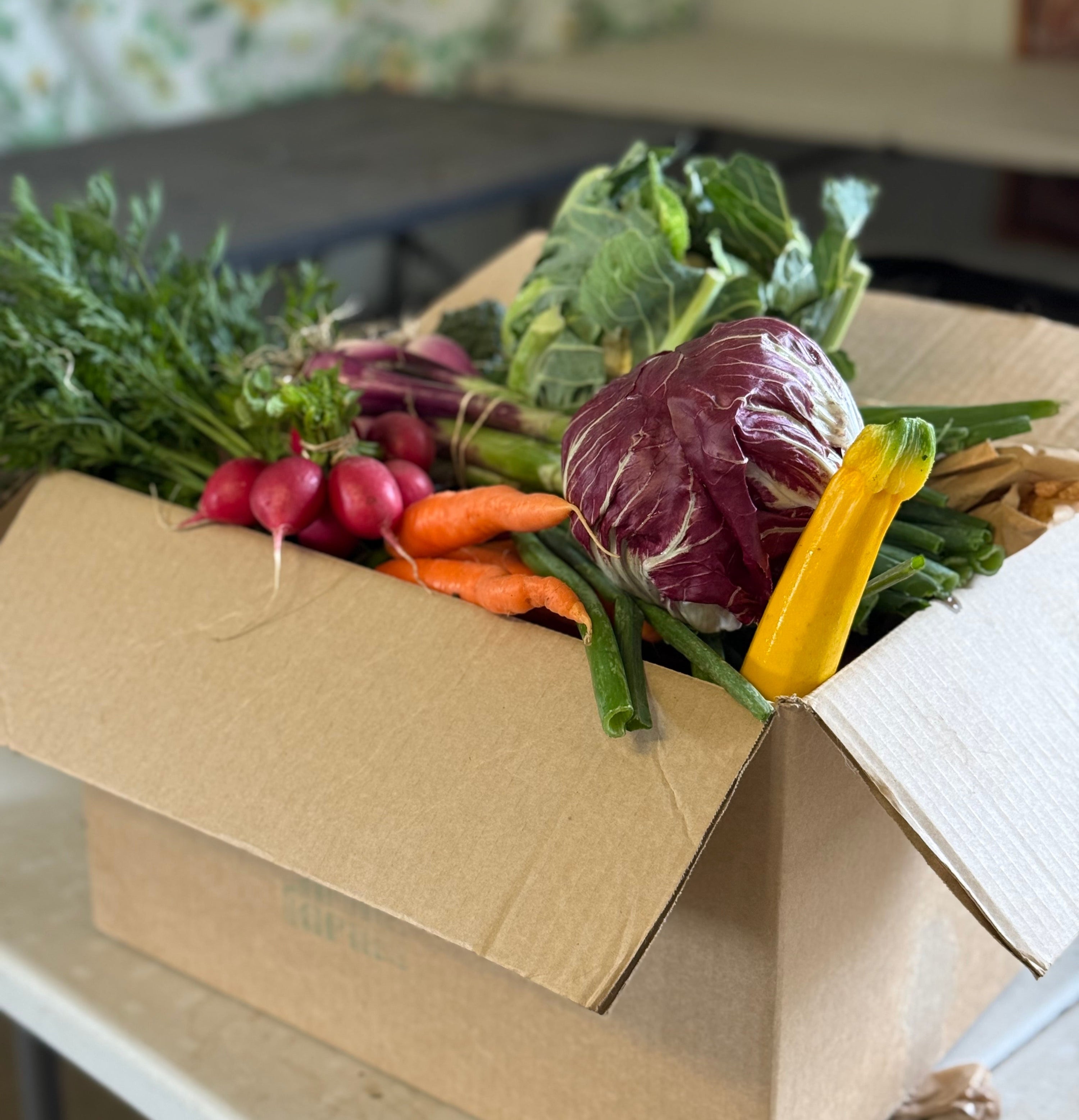 Little Farms Wairarapa Grown Organic Farm Boxes – Little Farms NZ