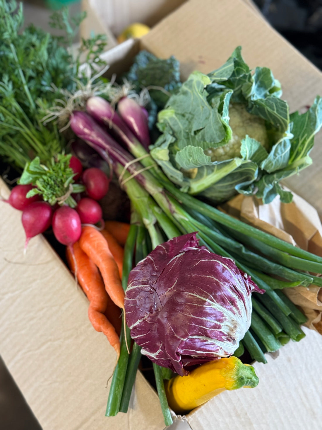 Wairarapa Grown Organic Farm Boxes delivered to your door – Little Farms NZ