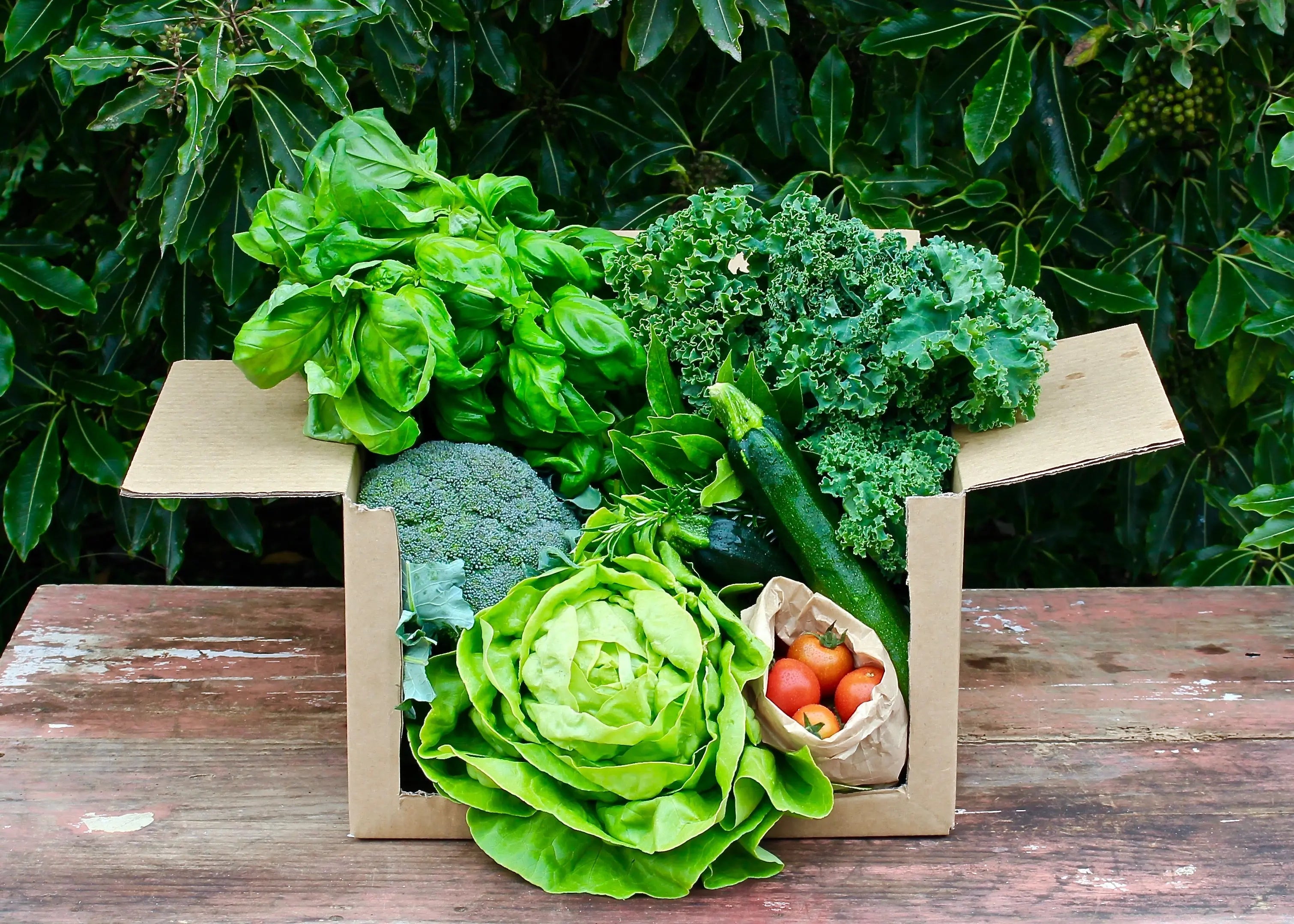 Wairarapa Grown Organic Farm Boxes delivered to your door – Little Farms NZ
