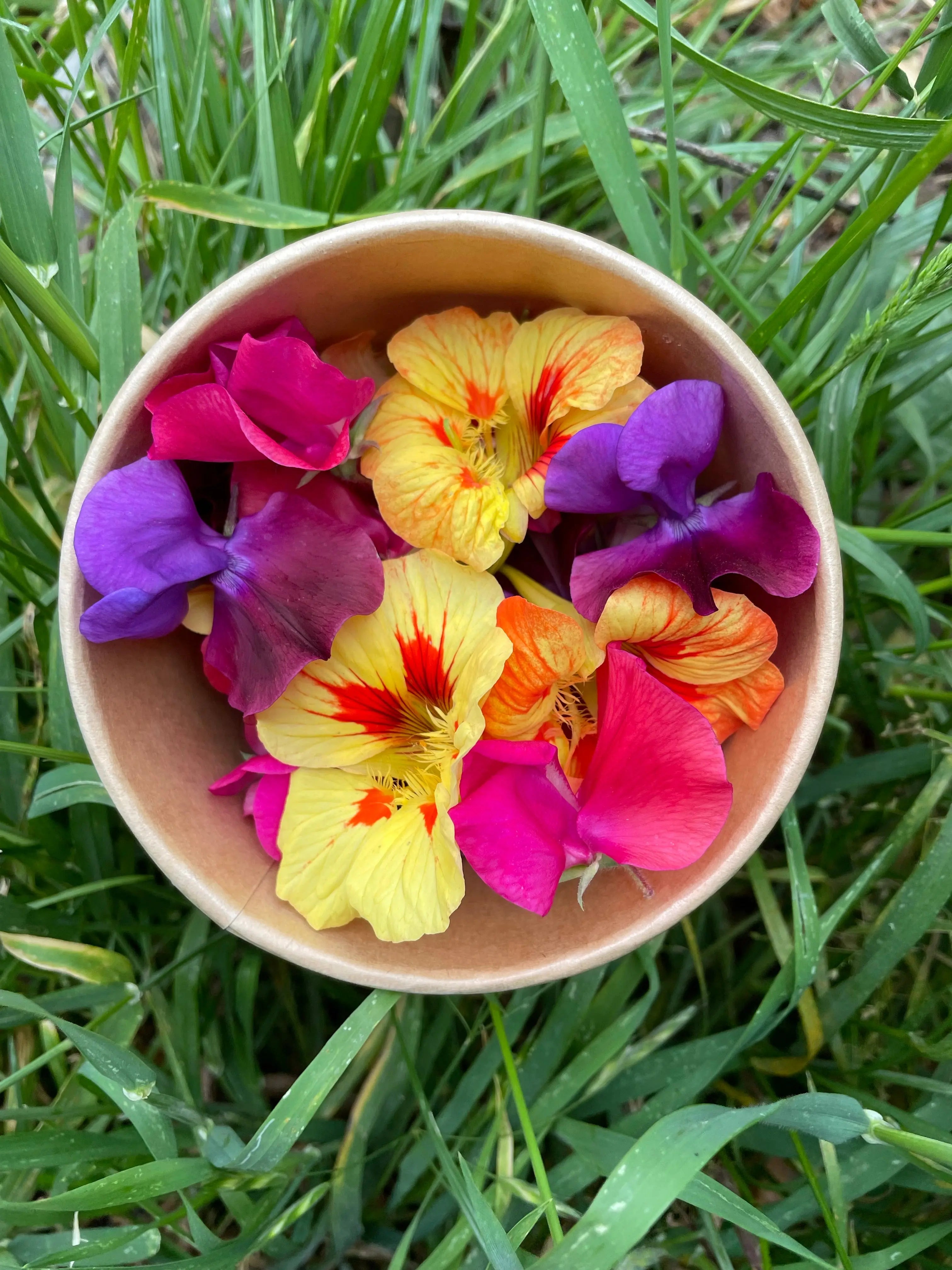 Edible flowers – Little Farms NZ
